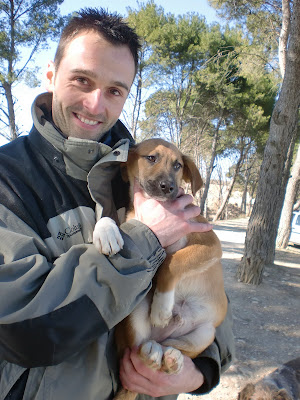 PROTECTORA DE ANIMALES" AMICS DELS ANIMALS DEL SEGRIÀ" LLEIDA: DIA DE ...