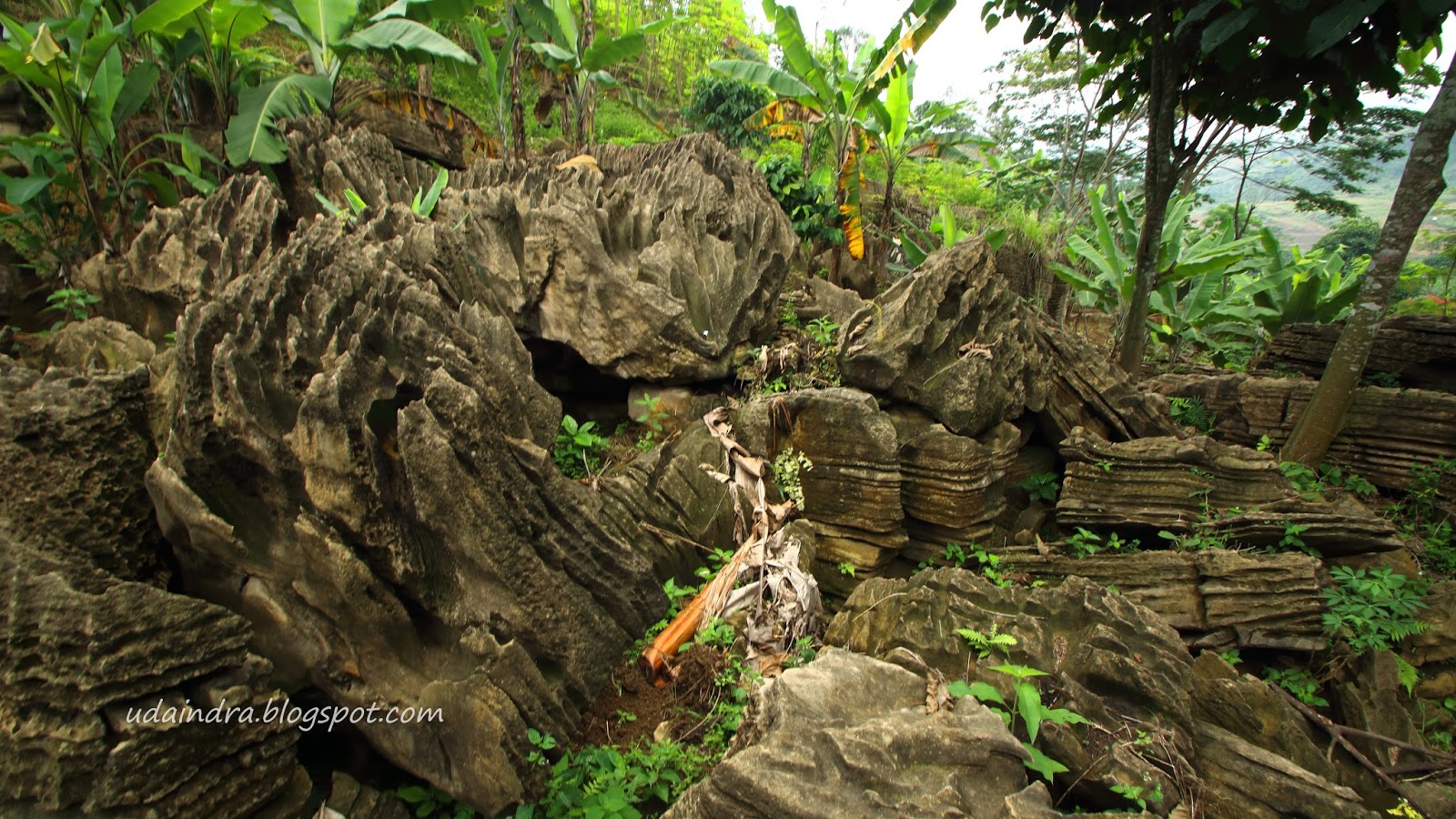 Hiking ceria ke Goa Agung Garunggang Geopark-Sentul, Bogor