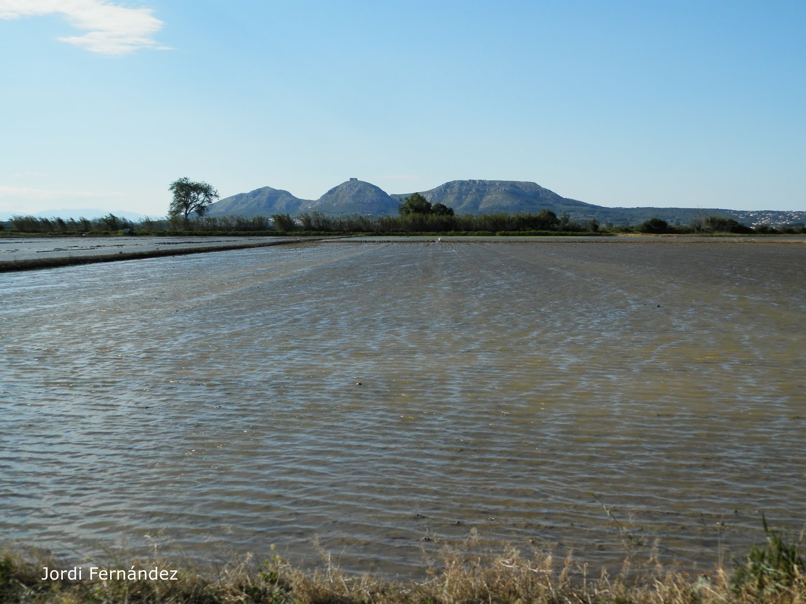 El temps a Palamós: de maig 2019