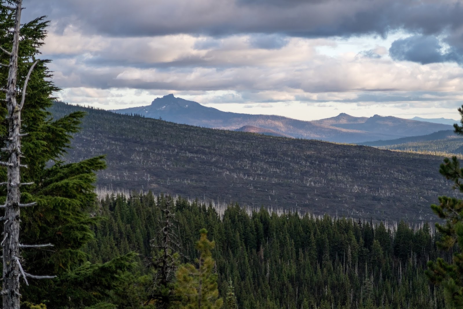 Eric's Hikes: Pacific Crest Trail: Santiam Pass to South Matthieu Lake