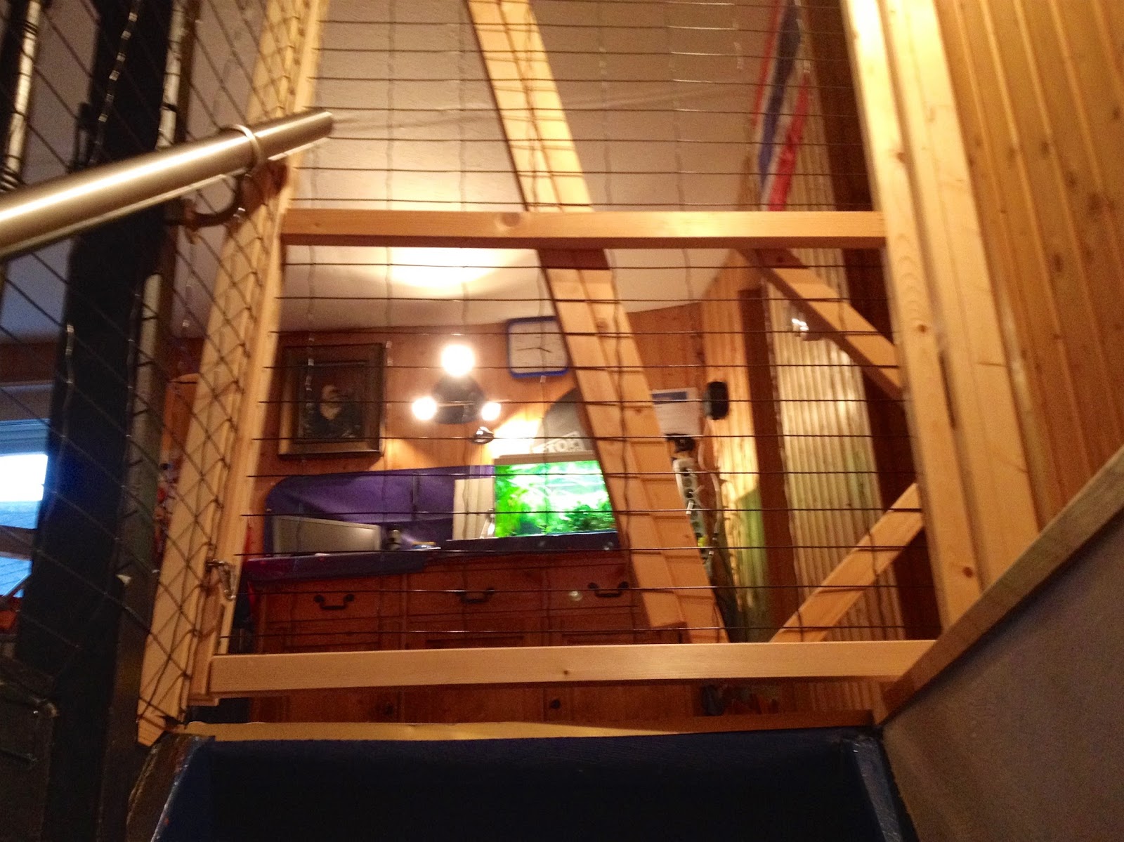 Katzenhotel Langgasse 82: das Hotel