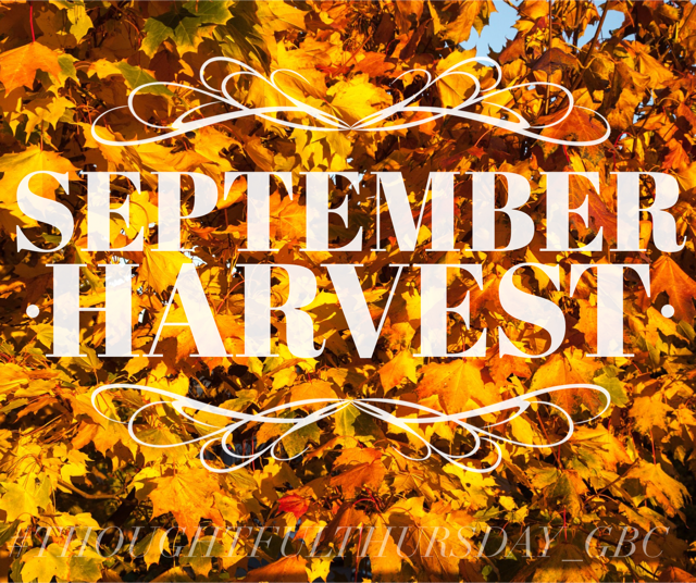 Unto Grace: Thoughtful Thursday: Septemer Harvest