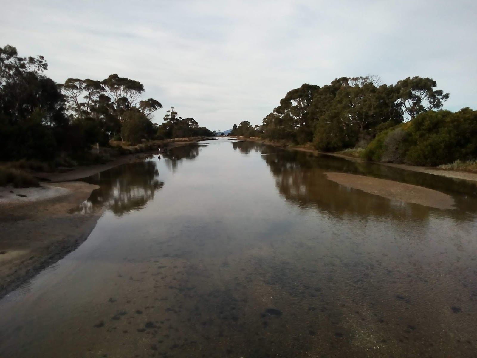 Bream Catcher: Fishing Shallow Water Canals For Bream In Winter