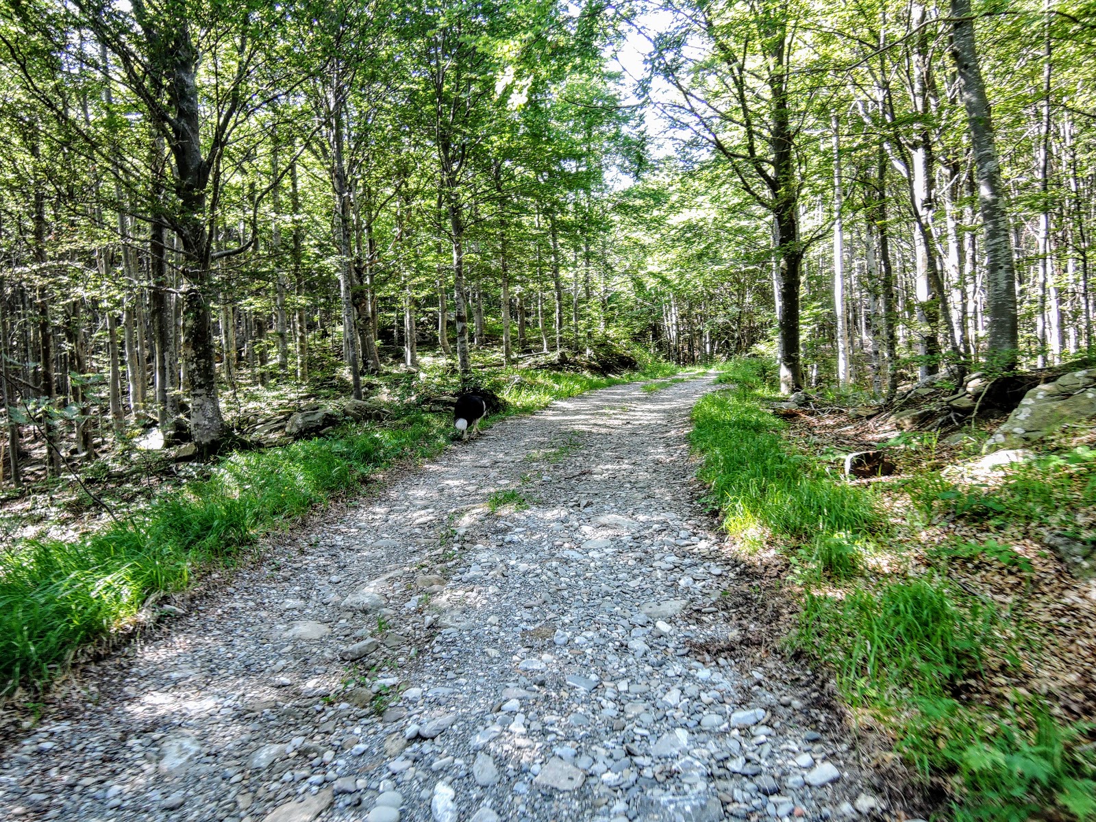 Piccoli Sentieri: A passeggio nella natura