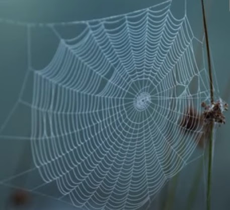 Spider silk-inspired nanomaterials - Science with health