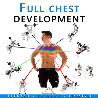 How to developing your chest