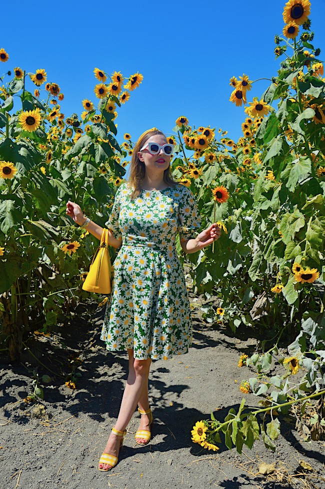 Hello Katie Girl: Sunflowers and Daisies