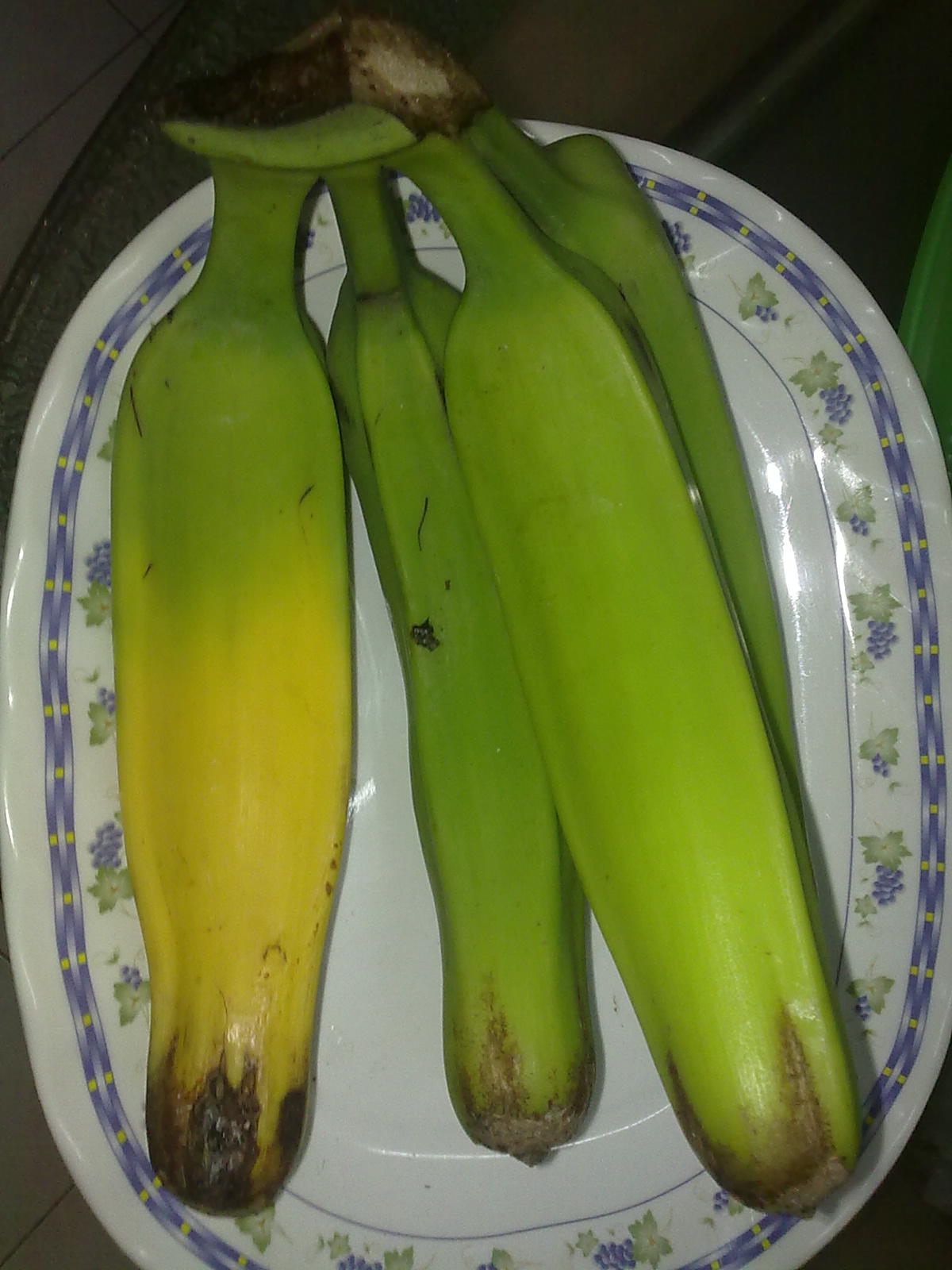 Manfaatkan masa menghasilkan kemanfaatan: Pisang Raja udang, Pisang rastali