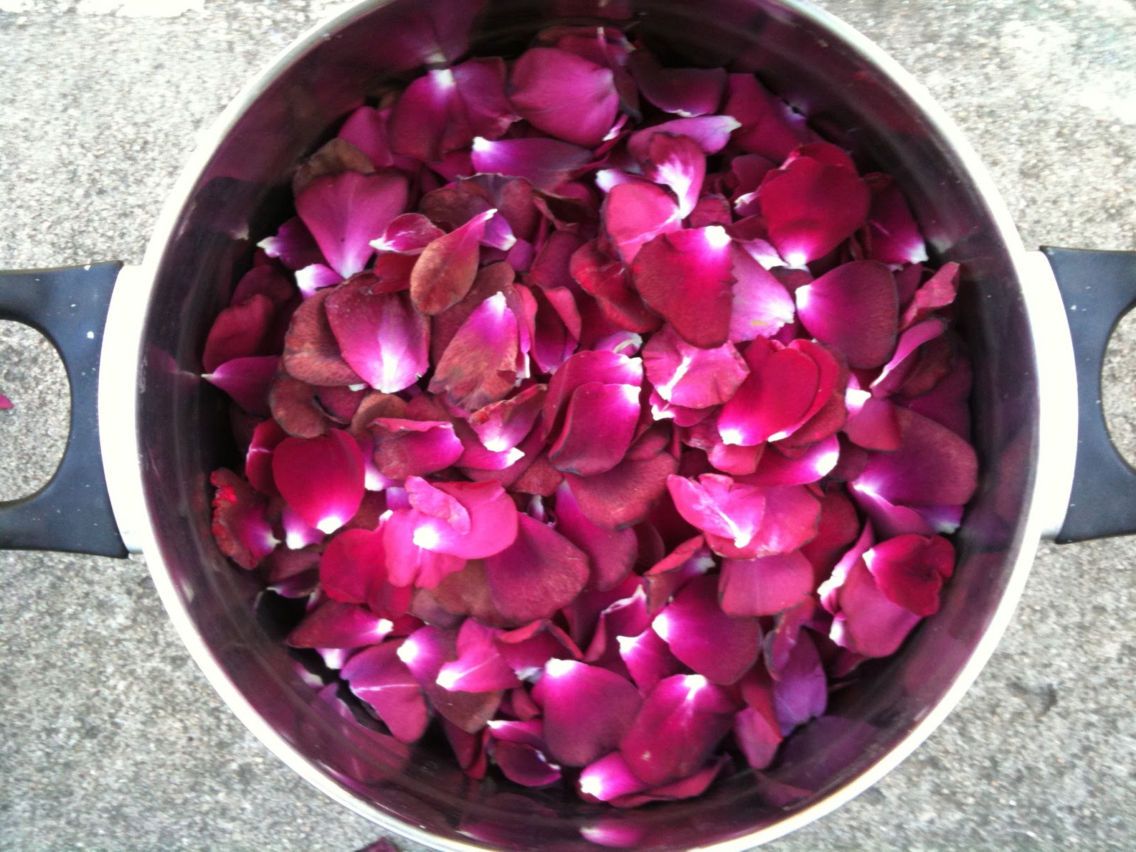 Kate Ward: Cooking with Flowers - part 1