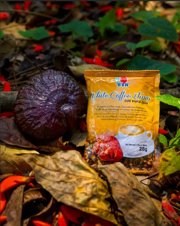 67 Imágenes en alta resolución de los Productos DXN (Ideal para ...