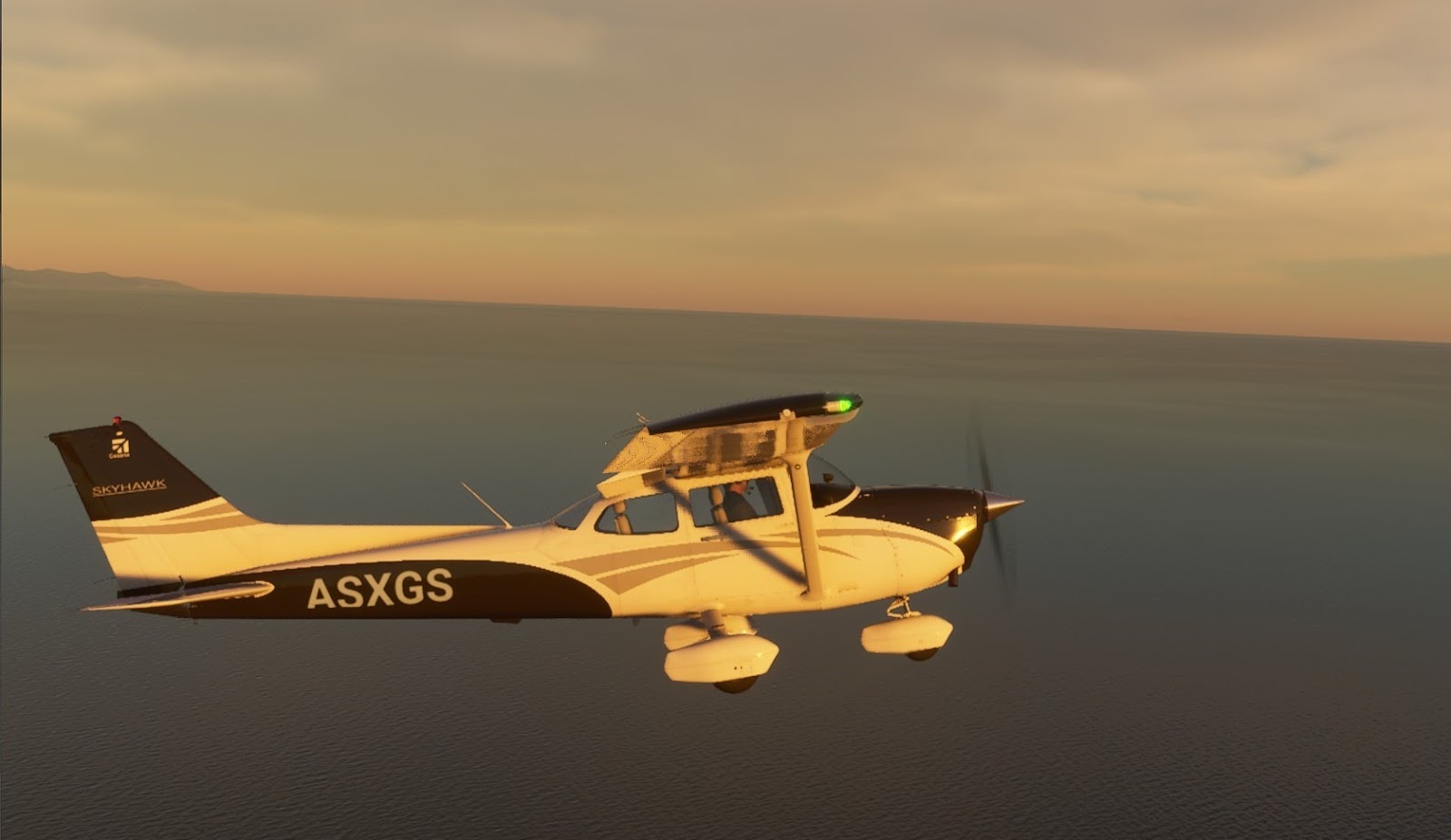 FlySim&Real: FS 2020 un mese dopo: luci e ombre (e nuova patch 1.8.3.0)