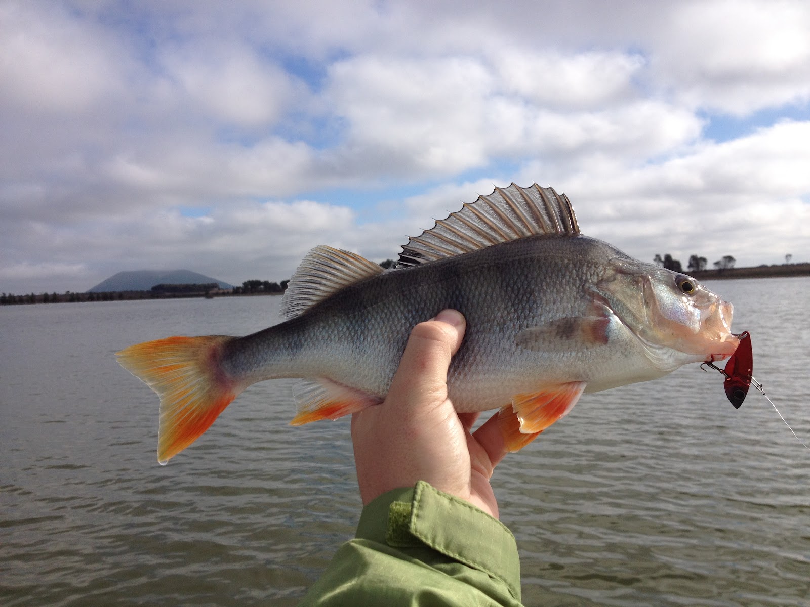 Informed Angler