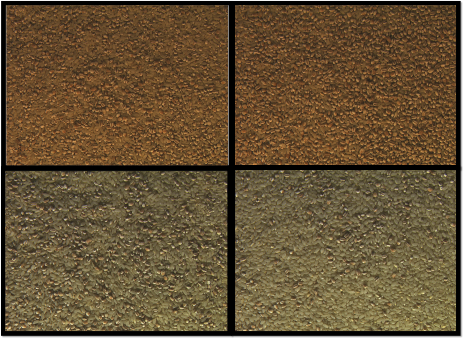 understanding signals and photographs: Pattern Recognition via Texture