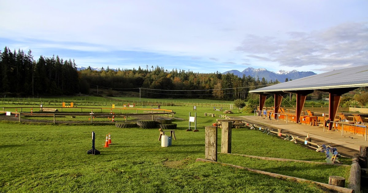 Wise Horsemanship at Freedom Farm: About Freedom Farm
