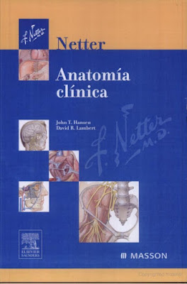 Netter - Anatomía Clínica | Wikimedici