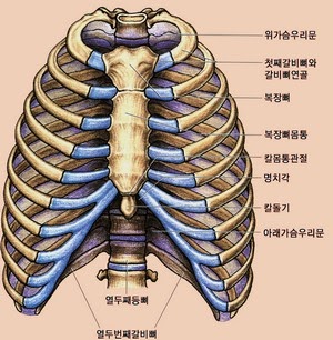 Iba Mendes: Não confunda “Esterno" com “Externo"