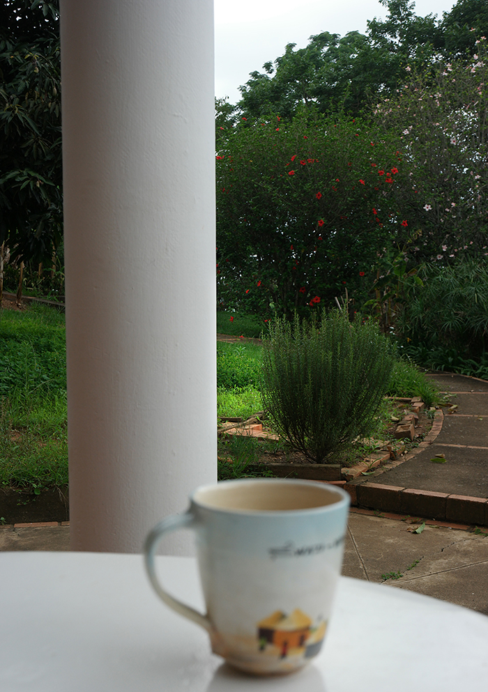 ePhoto-eZulwini: Fliegende Ameisen - INHLWA