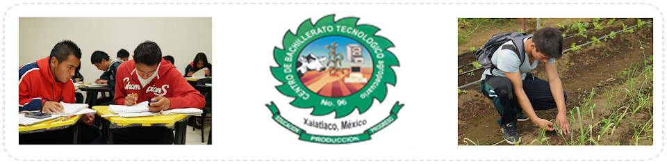 CBTA 96, XALATLACO, ESTADO DE MÉXICO.