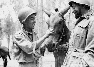 AMERICAN NISEI VETERANS: 442nd RCT PICTURES