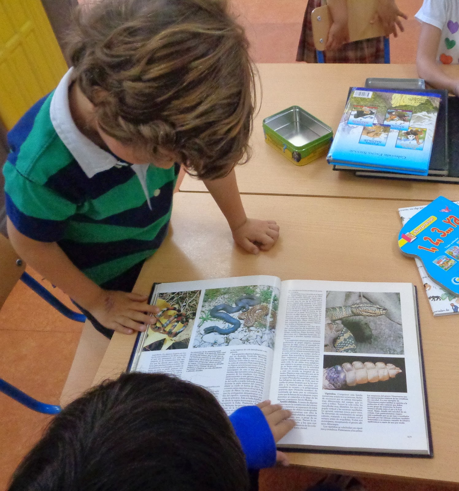 INFANTIL de GRACIA: SSSSSSSSSSSSSSSSERPIENTES: NUESTRA ANACONDA RECTA ...