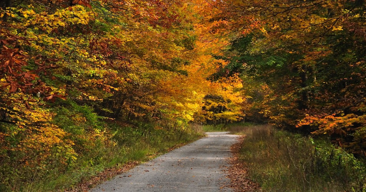 Discover West Virginia: Three Tips for Better Fall Photographs