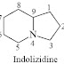 Indolizidine Alkaloids