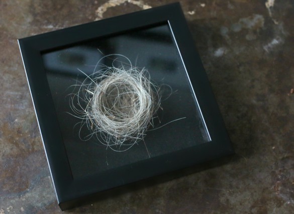 How To: Bird Nest Shadow Box Art | 17 Apart