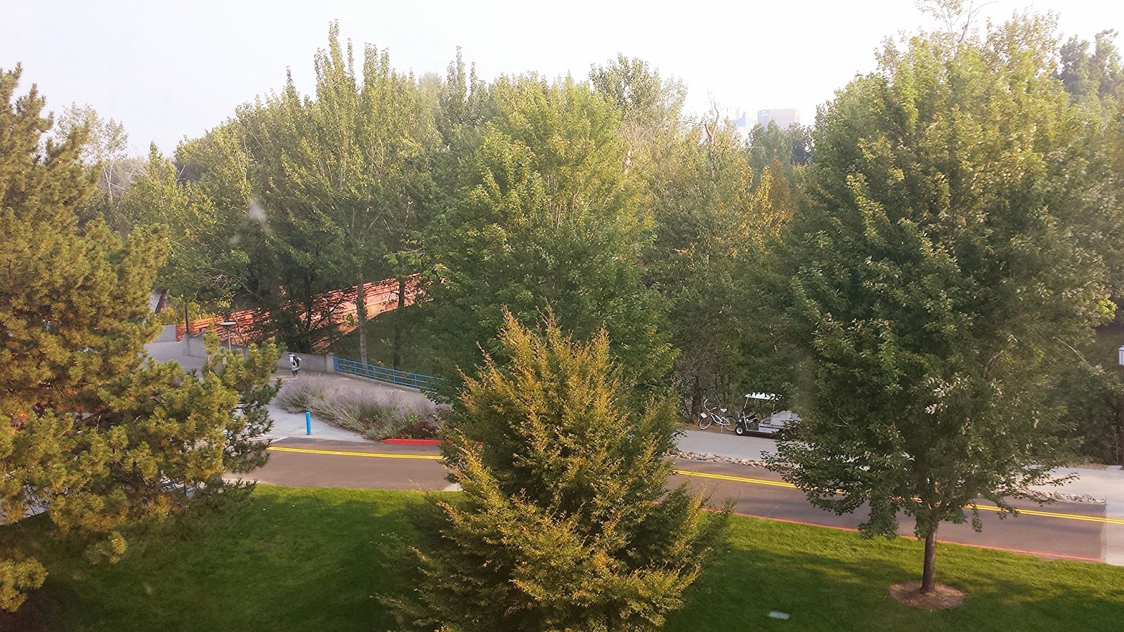 @thelibrary - News and resources from Albertsons Library at Boise State ...