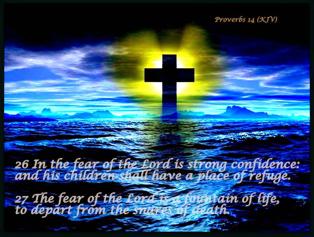 Red Pill Diaries: Proverbs 14 (KJV)