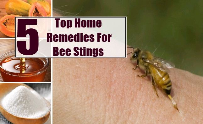 Healthbodytips: Home Remedies For Bee Stings