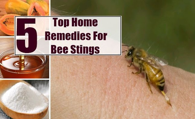 Healthbodytips: Home Remedies For Bee Stings