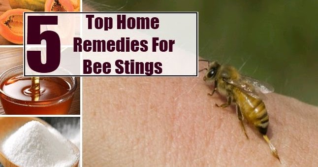 Healthbodytips: Home Remedies For Bee Stings