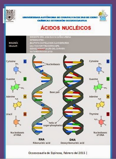 Biología Celular: “Biomóleculas: ácidos nucleicos”