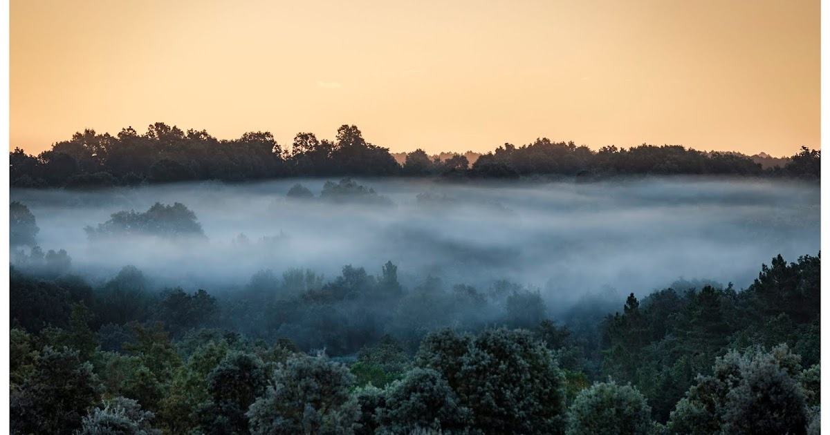 Foto-Grafías: Bella bruma.