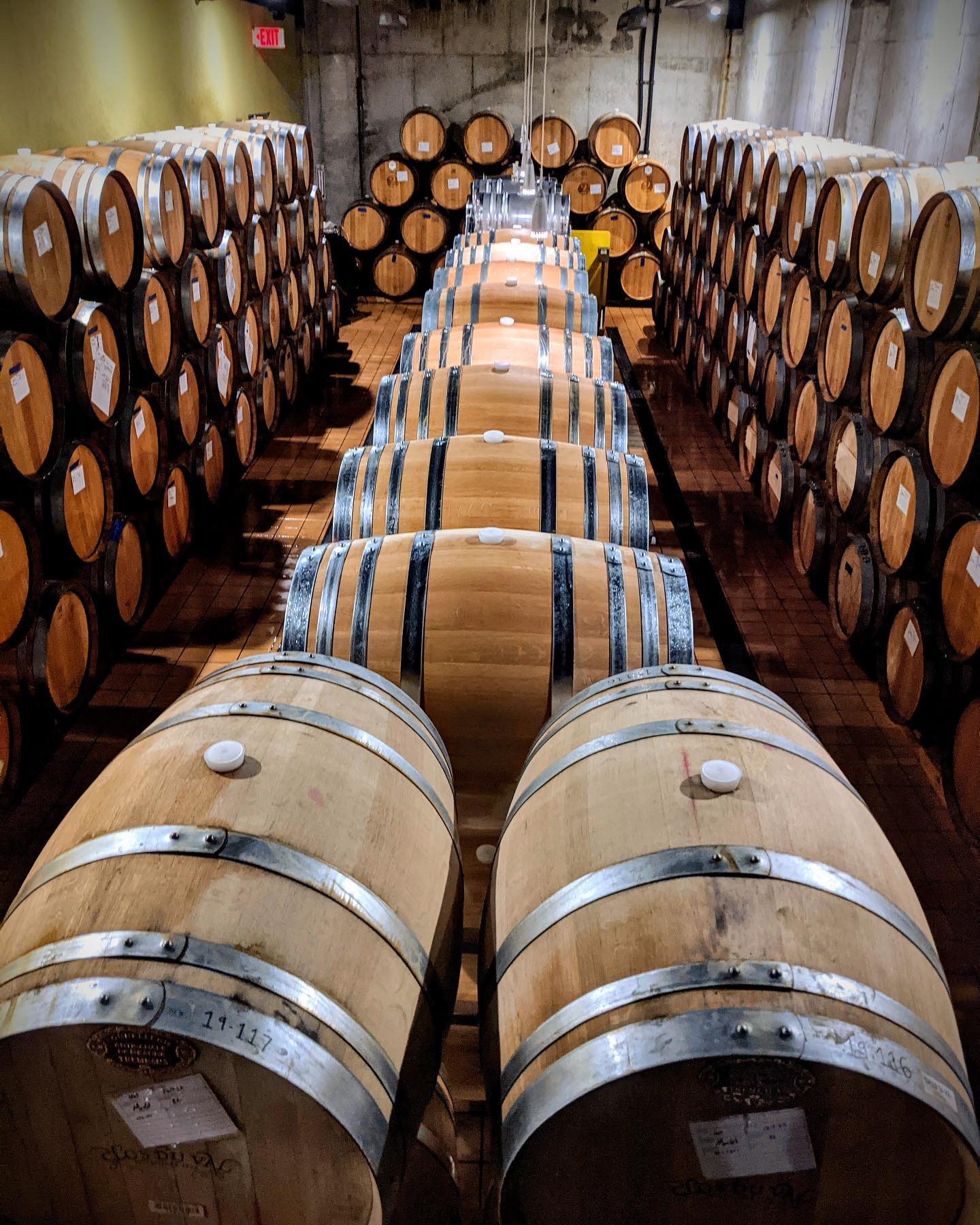 The Wine Write: Catching Up With Thomas Houseman of 2 Lads Winery