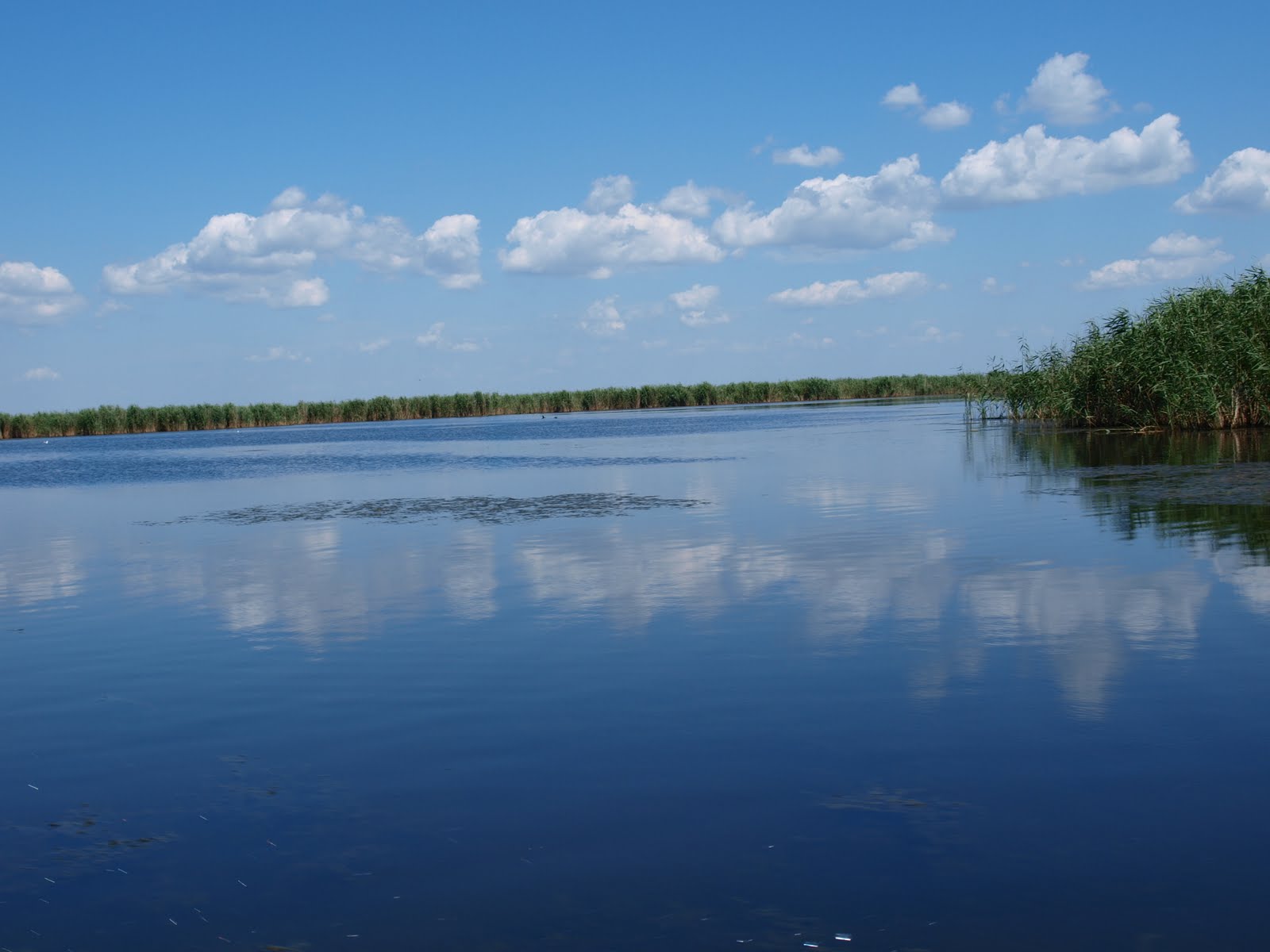 Orgame/Argamum Archaeological Excavation: On the traces of the Ancient ...