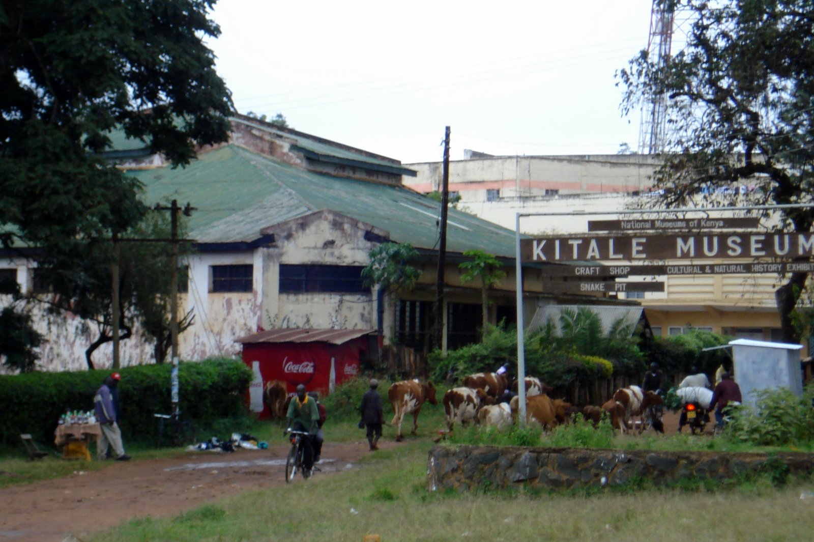 Jon and Marianne Hunter in Kenya: Christmas, Kitale, and Sunflowers
