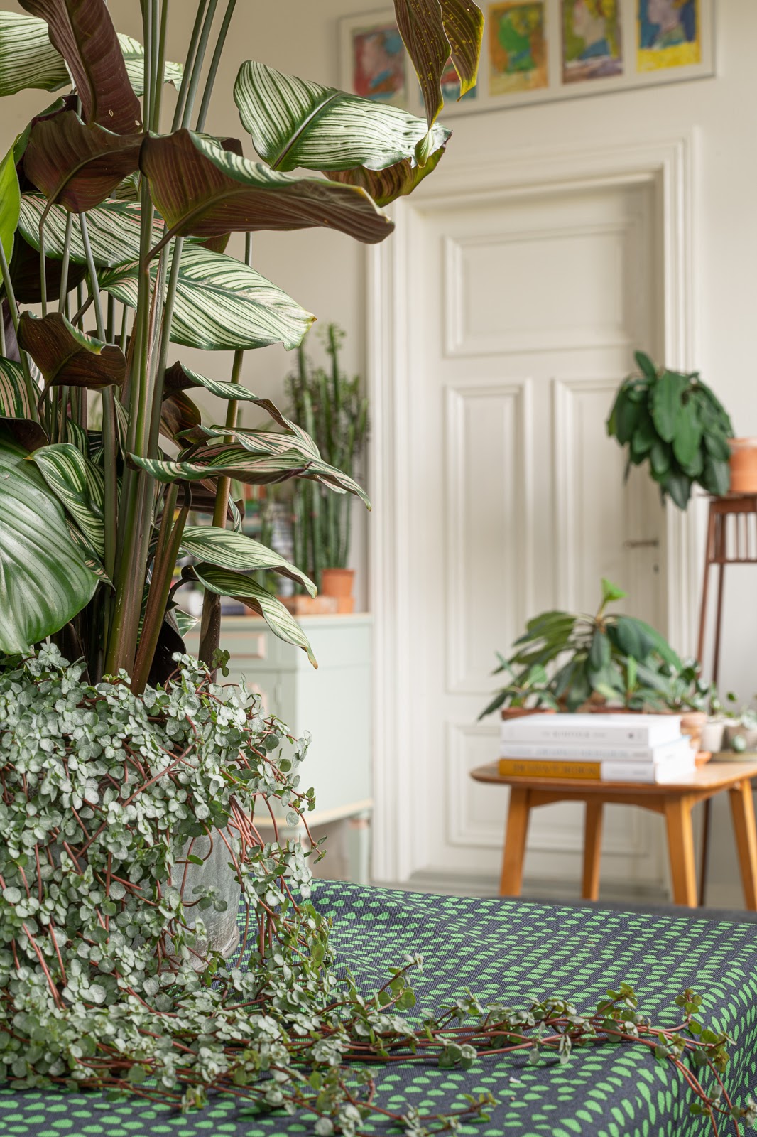 HERNEPENSASKUJANNE: Viherkasvit luovat mukavan kotoisaa tunnelmaa