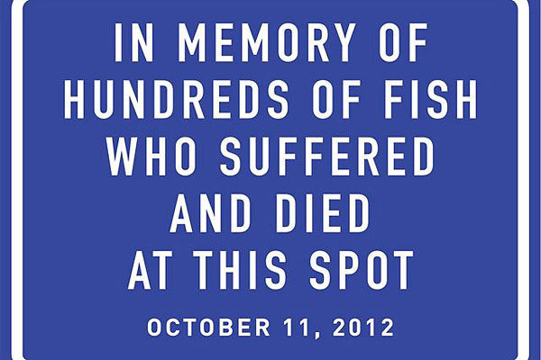 The Tunnel Wall: For all those fish who gave their lives that we might ...