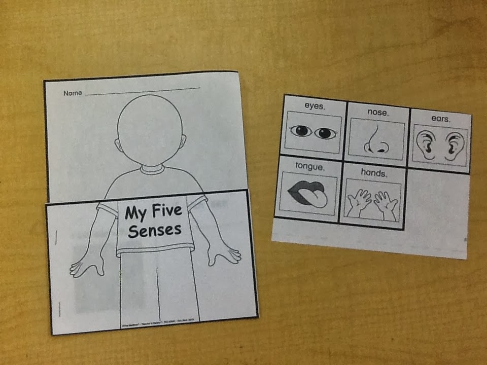 Mr. Linnet's Class Blog: This Week's At-Home Project: My Five Senses Book