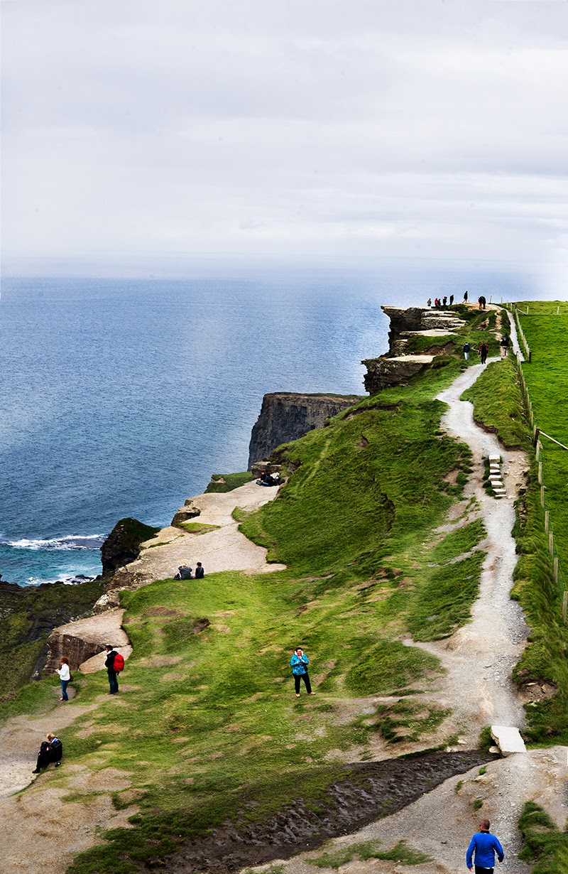 Wild Greens and Sardines : Rugged Ireland