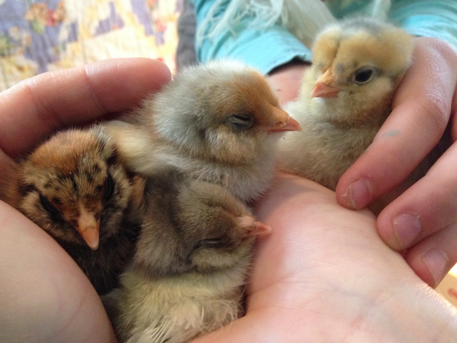 my messy room: February 2015