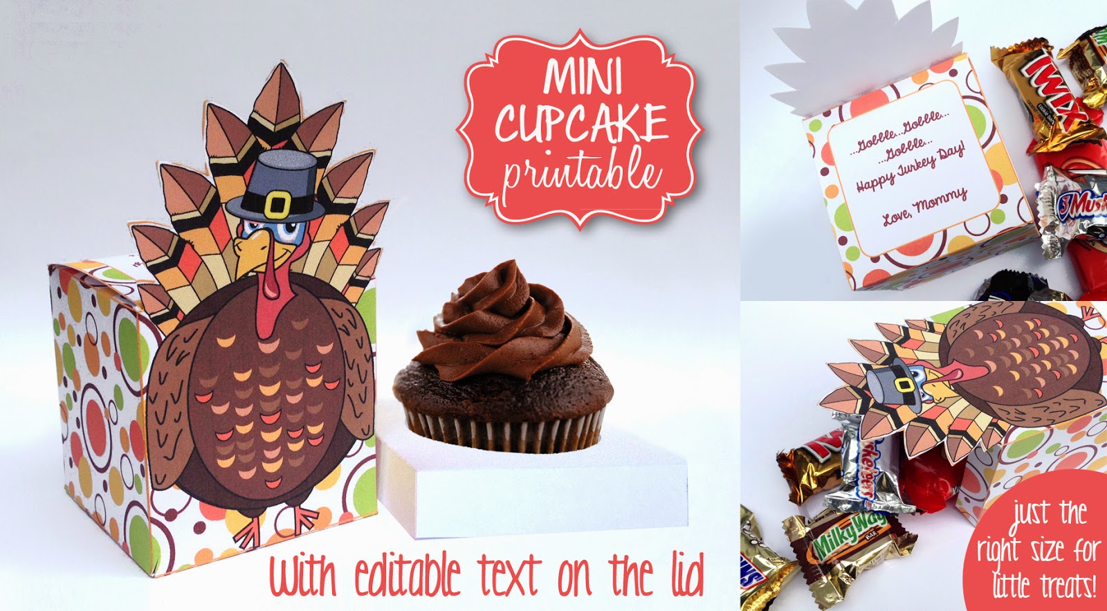 EverydayMe: Thanksgiving Turkey MINI Box...