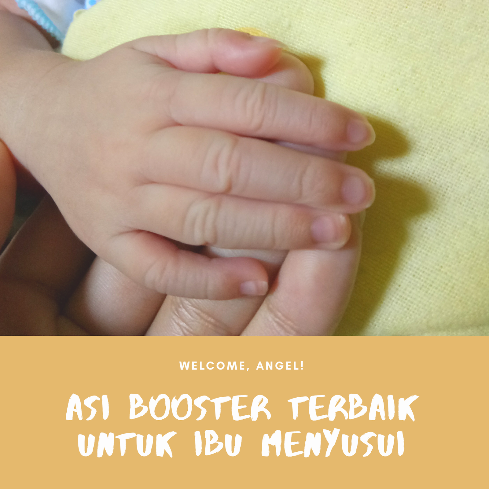 Asi Booster Terbaik Untuk Ibu Menyusui - Ella Fitria