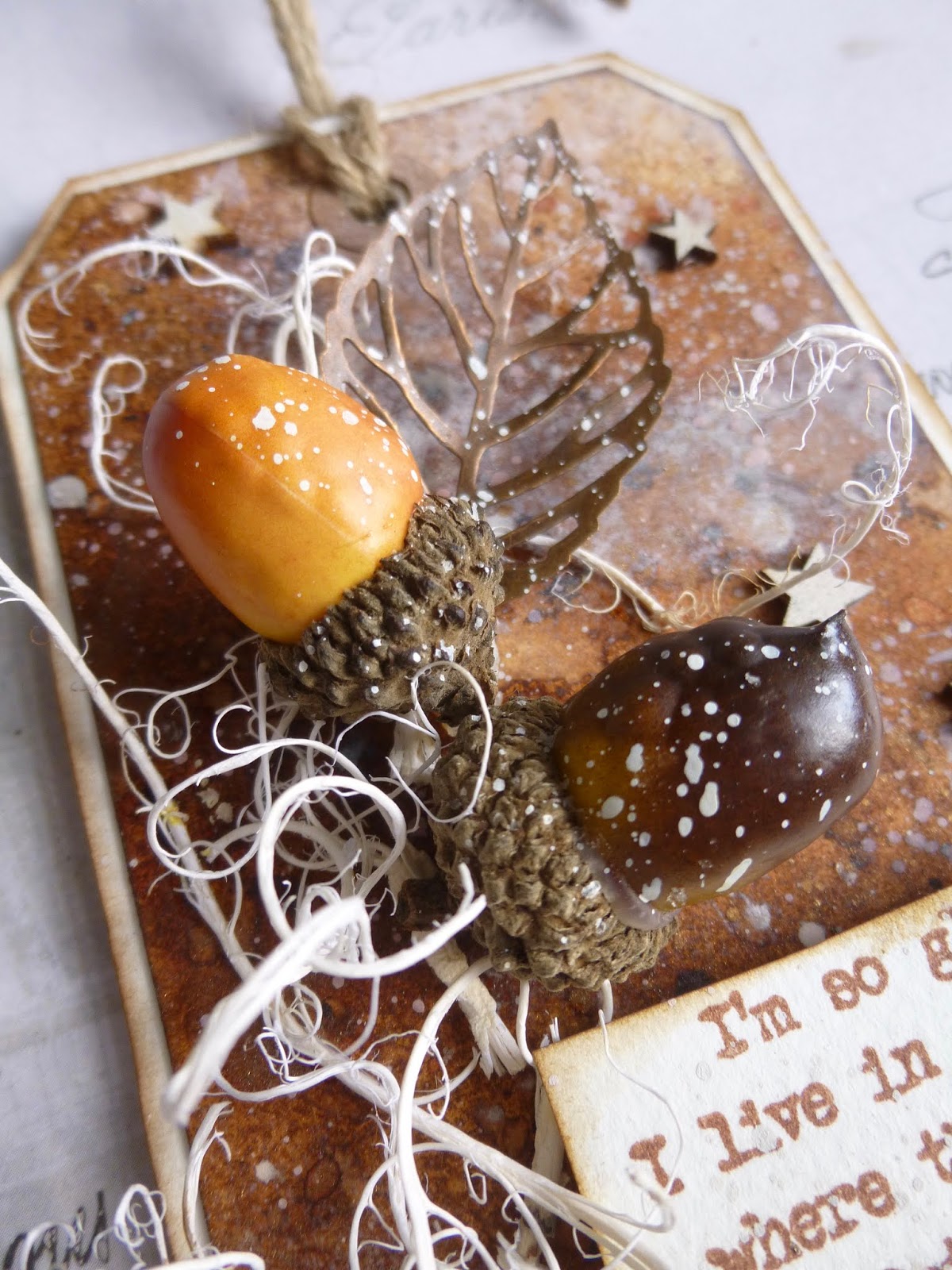 Words and Pictures: October Acorns