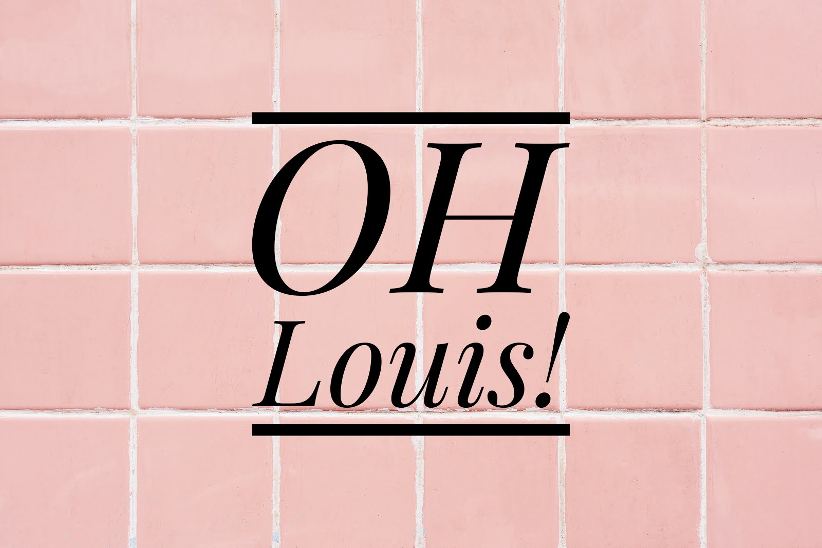 Mistä ja miten käytettyjä merkkilaukkuja kannattaa ostaa? - OH Louis