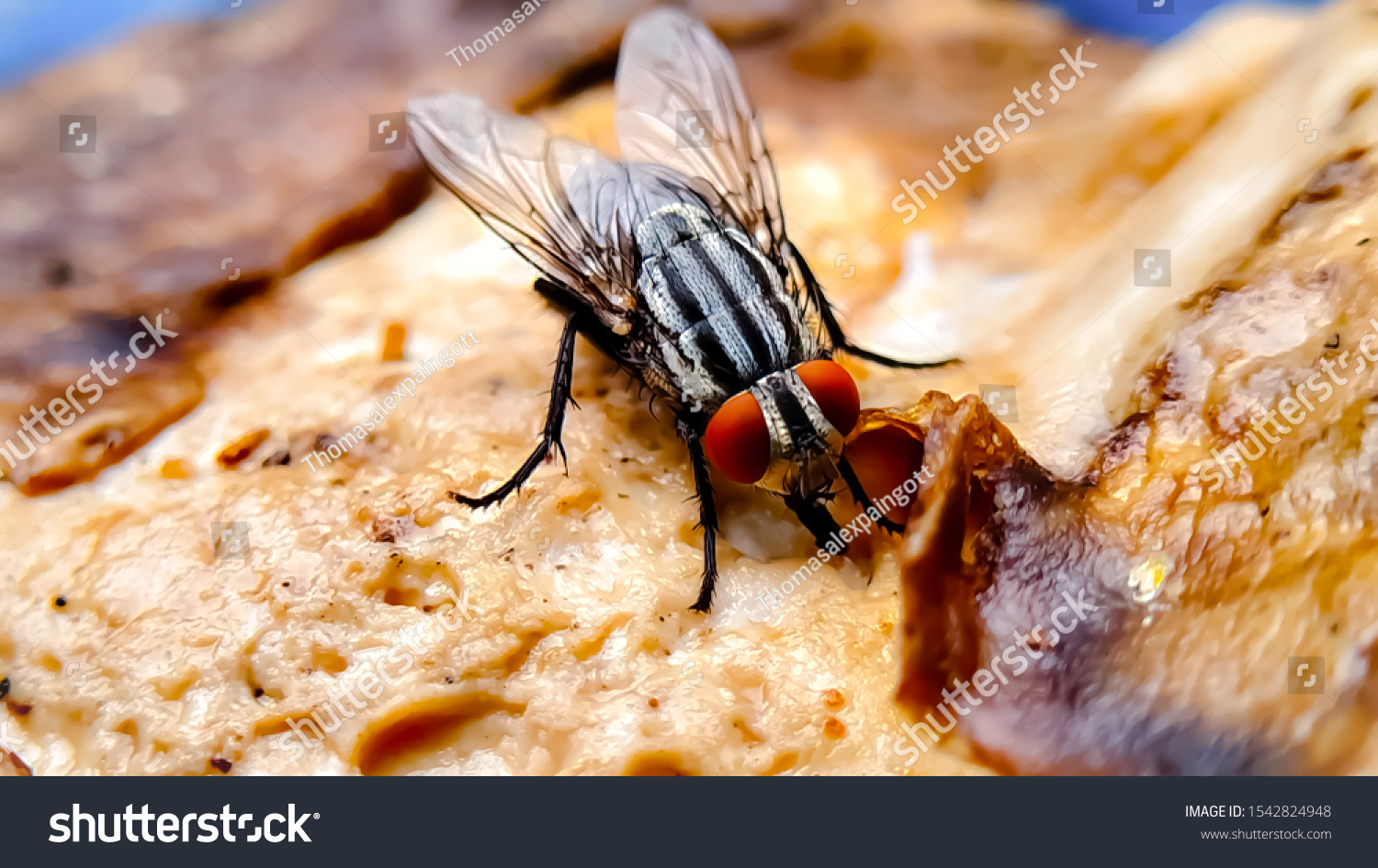 HOW TO GET RID OF SMELLY ARMPITS