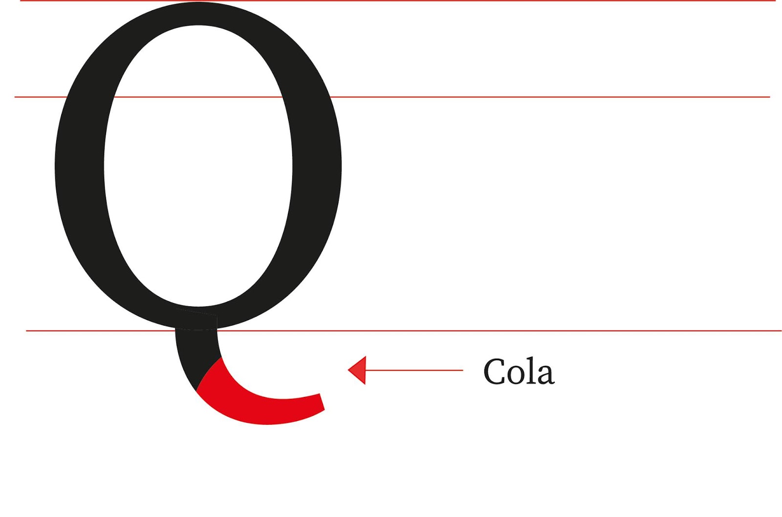 paulina plaza: Entrega anatomía de la tipografia