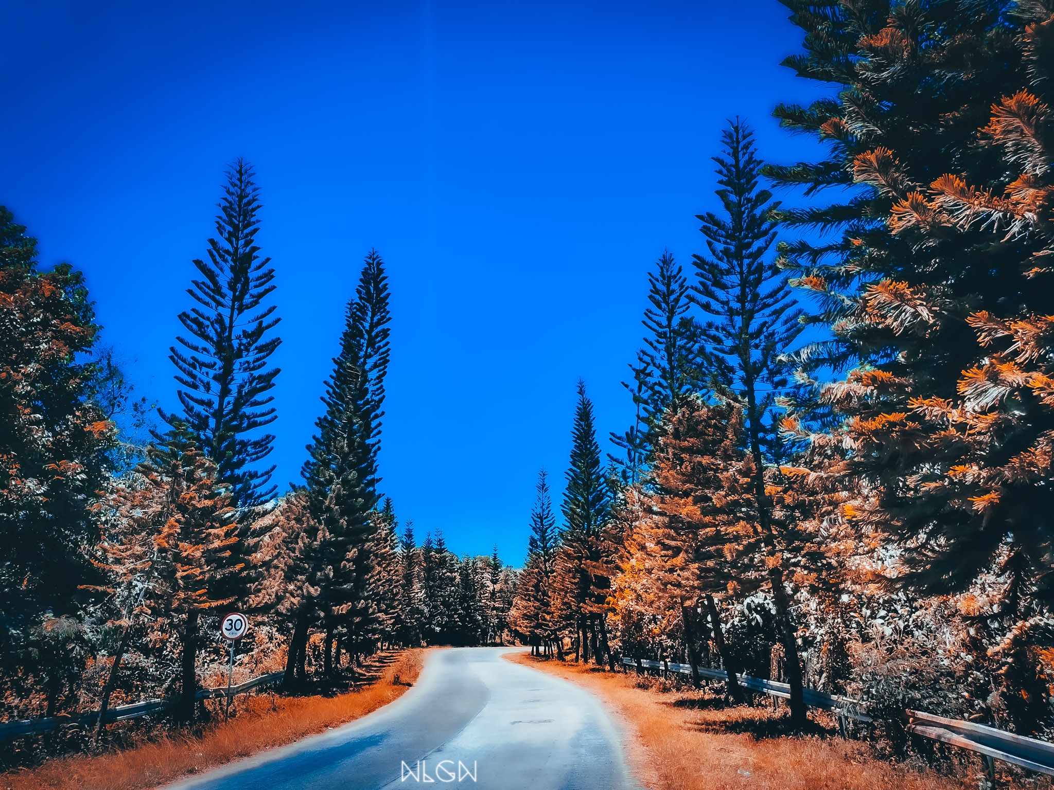 Little Baguio in Rizal