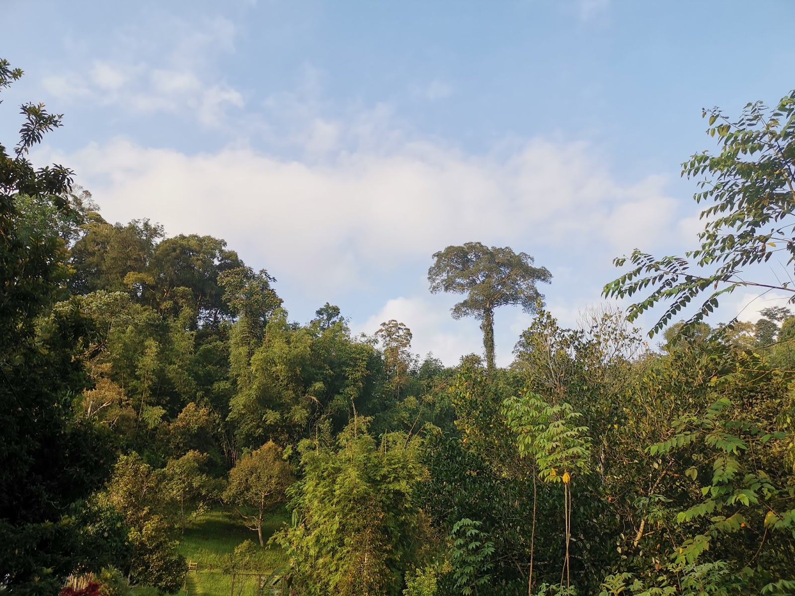 Rehat sebentar di Sungai Benus, Janda Baik, Bentong, Pahang